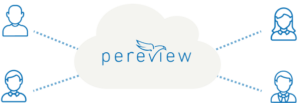 Asset management platform - Pereview Software
