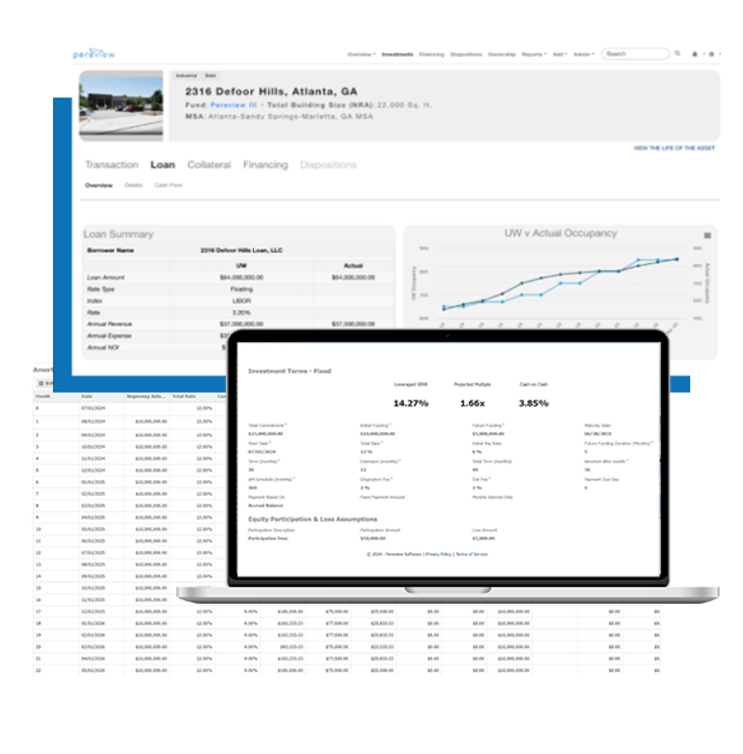 Debt as an Asset - Pereview Software